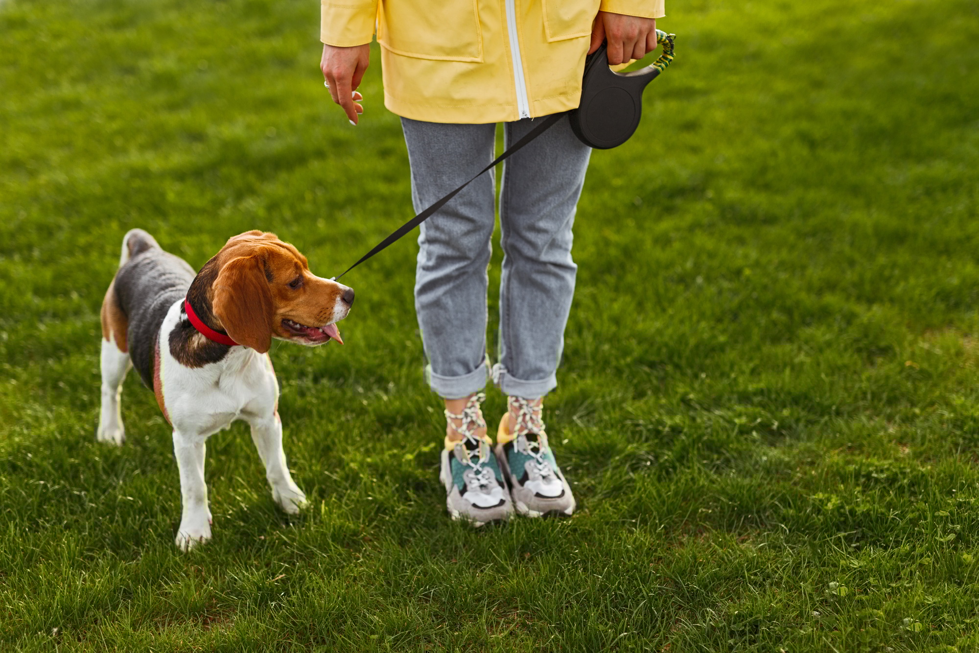 Do I Have to Report If My Dog Bites Me? Guide for Pet Owners